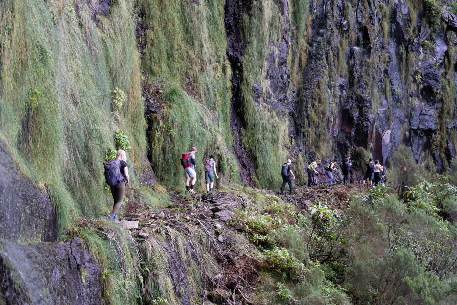 Madeira Island Tours - Epic Expeditions