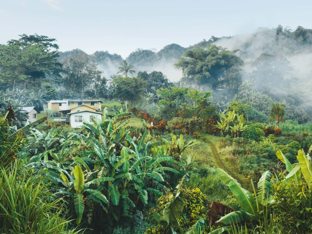 Trekking Tours in Papua New Guinea | Epic Expeditions
